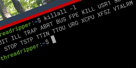 Image result for Linux Killall Command