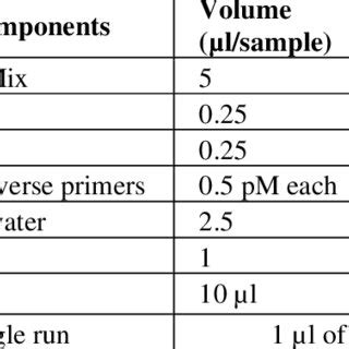 Image result for RT-PCR Master Mix