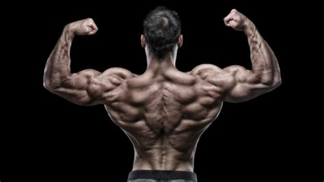 Image result for Strong Back Muscles