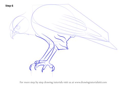 Image result for Hawk Drawing Brid