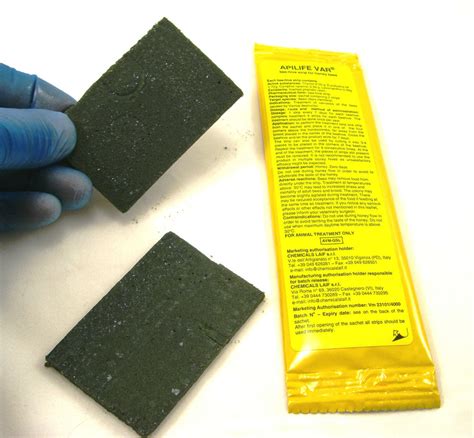 Image result for API Life Var Application Instructions