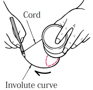 Image result for In Involute What Is Perpendicular