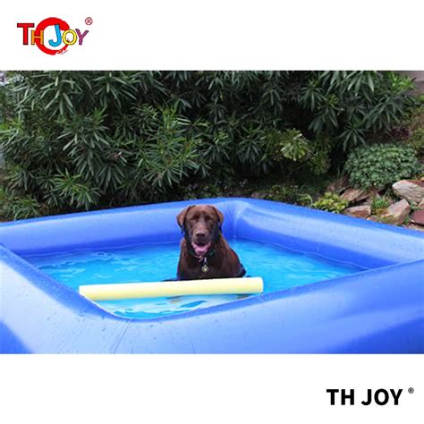 Image result for Inflatable Dog Pool