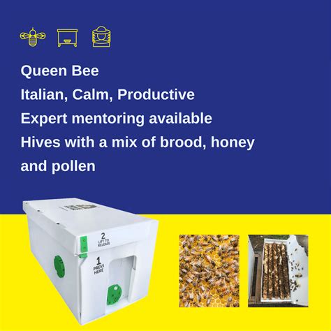 Image result for Bee Pro-Pro Nuc Box