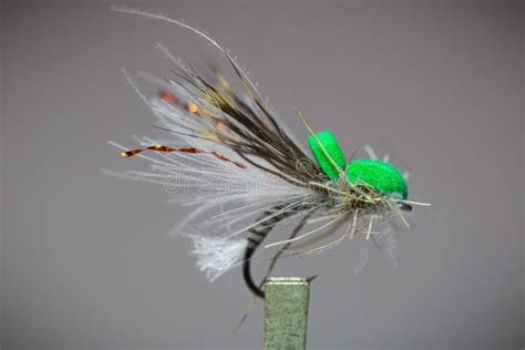 Image result for Caddies Emerger Fly Pattern