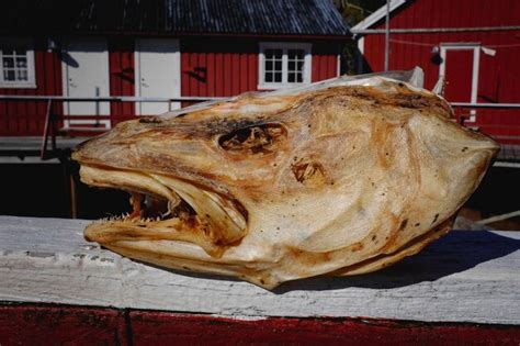 Image result for Cod Death Skull