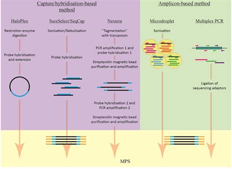 Image result for Parallel Sequencing
