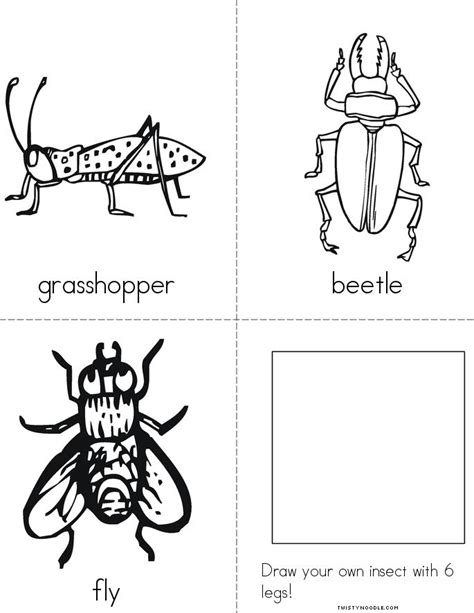 Image result for My First Insect Book