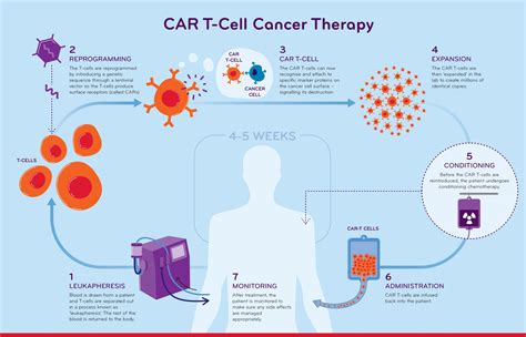Image result for T-cell Reprogramming