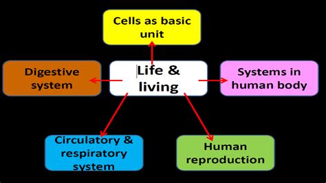 Image result for Basic Unit of Life