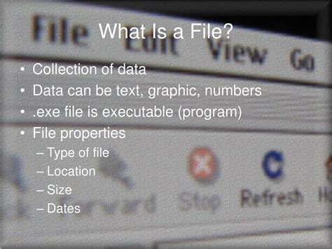 Image result for Pic File