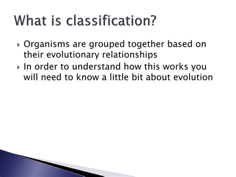 Image result for Classification and Codification for PPT