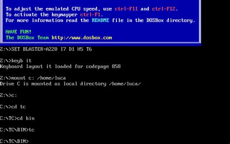 Image result for DOSBox C Programming