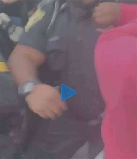 Image result for Transit Bus Fight