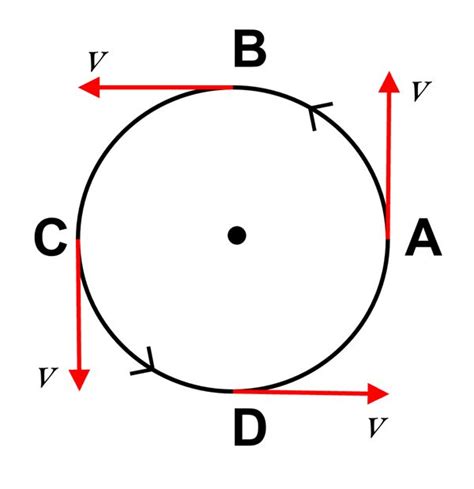 Image result for Motion Vector Example