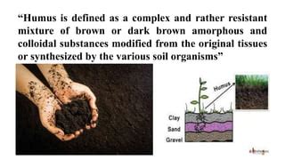 HUMUS FORMATION.pptx