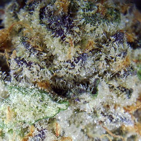 Image result for Jet Fuel Color