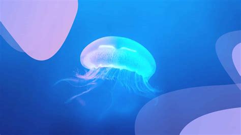 Image result for Employee Retention Rate Formula