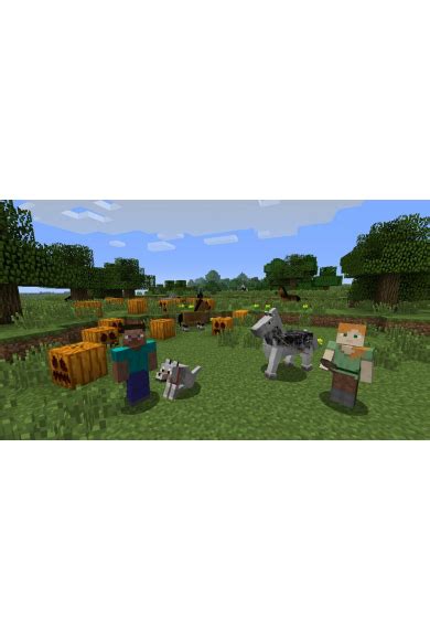 Image result for Java Minecraft CD