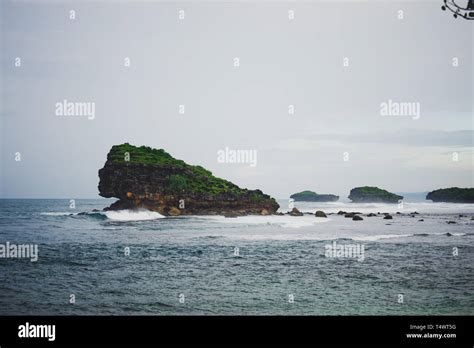 Image result for Java Island Landscape