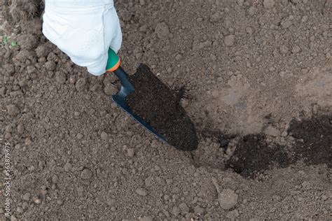 Image result for Planting in Humus