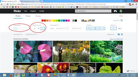 Image result for Optimize Pictures for Website