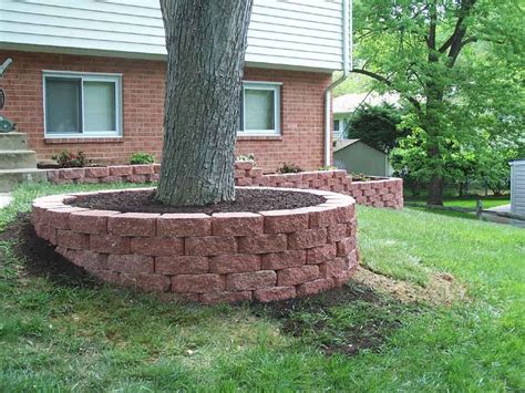 Image result for How Get Circle around Tree for Landscaping