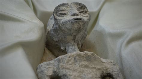 Image result for Alien Found Alive