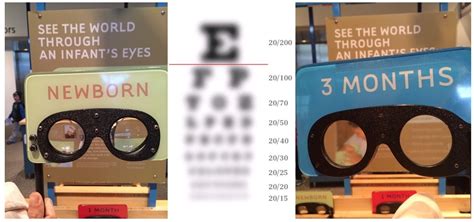 Image result for Visual Simulation