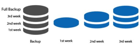 Image result for Backup Sample