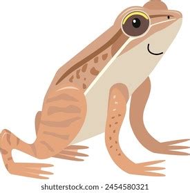 Image result for Cartoon Frog Basic
