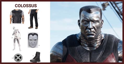 Image result for Colossus Evolution Cosplay