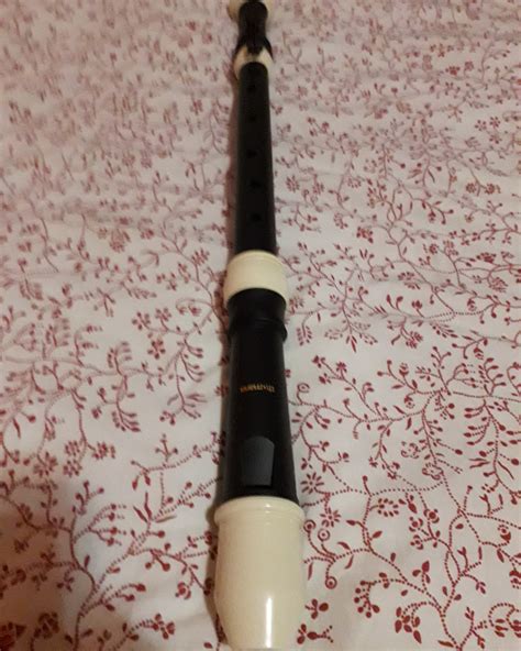 Image result for Tenor Recorder Tutorial