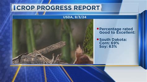 Image result for USDA Rural Development Progress Report