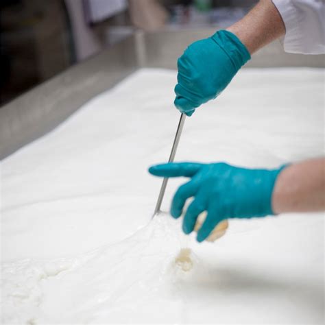 Image result for Salt Spring Island Cheese