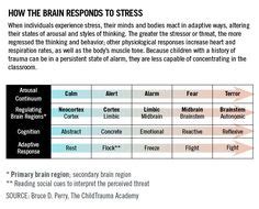 Image result for Bruce Perry Pattern of Stress