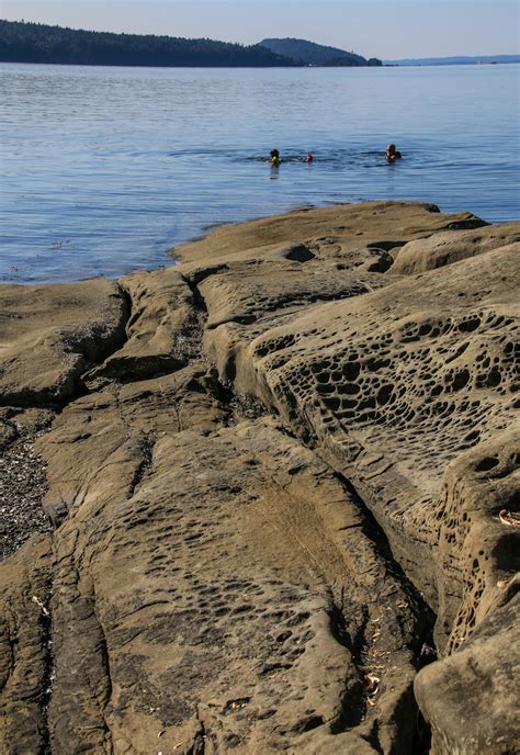 Image result for Local Salt Salt Spring Island