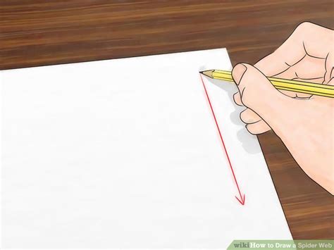 Image result for Draw Spider Web