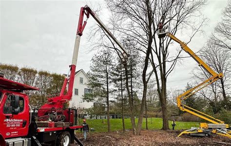 Image result for Engine Lift On a Tree