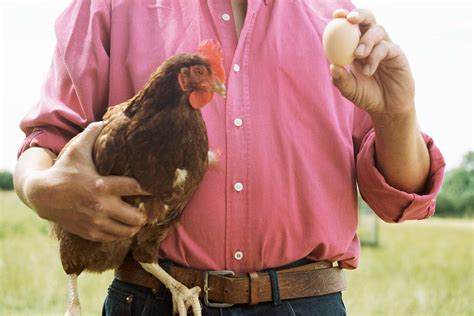 Image result for Test Variable Definition