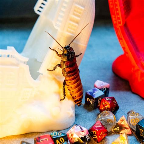 Image result for RPG Simulator Distant Pond Creature