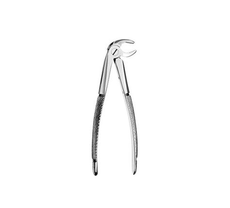 Image result for Extraction Forceps