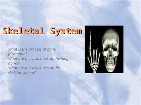 Image result for Bone Forming Process