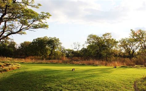 Image result for Elements Golf Course