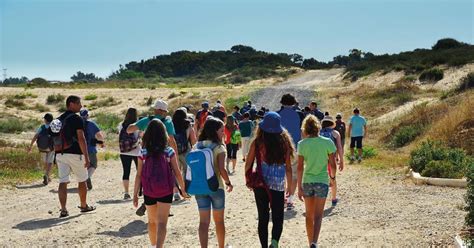 Image result for Kid Tour Guide