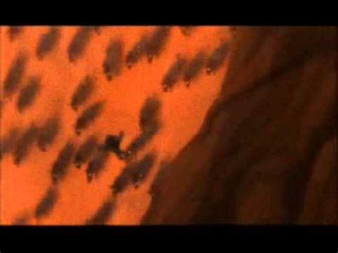 Image result for Simba Nightmare 2012