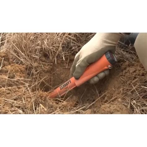 Image result for Garrett Pinpointer Review