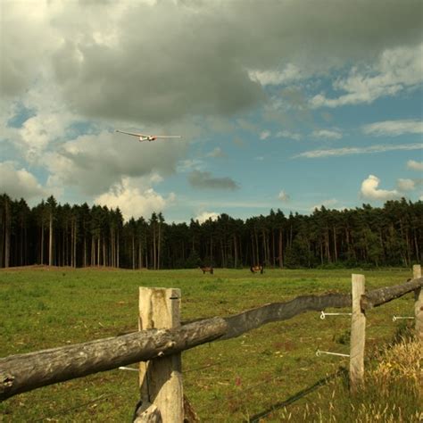 Image result for Larray Stiop