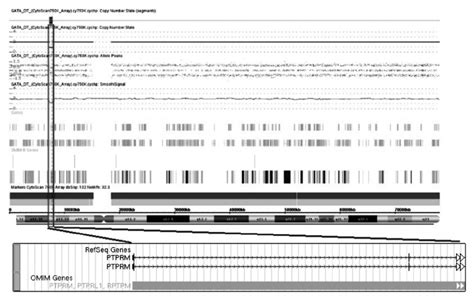 Image result for Chromosome Microarray Map