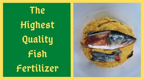 Image result for Fish Fertilizer Process
